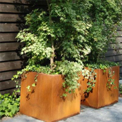 Cina Quadrato resistente all'aperto Rusty Corten Steel Planter Boxes per il giardino in vendita