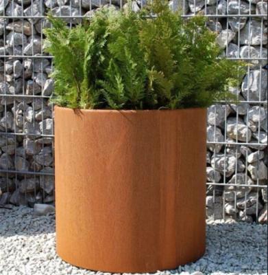 Cina Piantatrici rotonde d'acciaio del fiore del metallo di Corten del vaso del cilindro del giardino e della casa in vendita