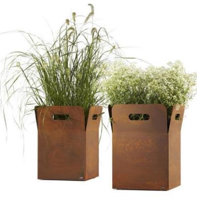 Cina Vaso naturale di Rusty Color Corten Steel Planter con i fori di scolo in vendita