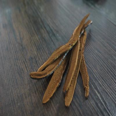 中国 丸太によって霊芝のきのこの霊芝の耕される胞子はよく選ばれて粉になる 販売のため