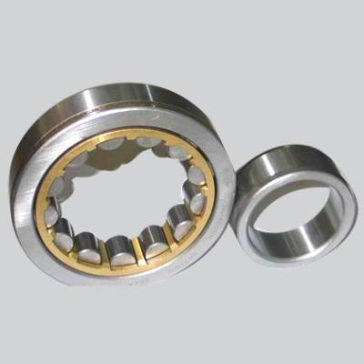 Cina I cuscinetti a rullo cilindrici di alta rotazione N18/1900, macchina utensile NU18/1320For fila in vendita