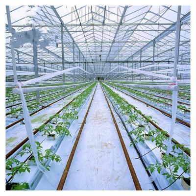 Китай Завод Hydroponic парника изготовления крытый растет система света строки продается
