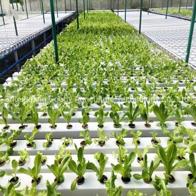 Китай Системы Nft канала PVC Hydroponic растя для овоща фермы растя с железным каркасом нержавеющей стали рамки горячего ПОГРУЖЕНИЯ гальванизированным продается