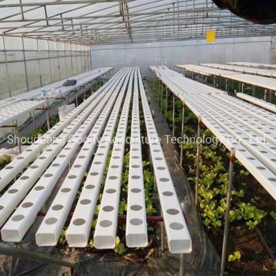 Китай Вертикаль систем пластикового канала Nft Hydroponic растя/плоская Hydroponic система для салата продается