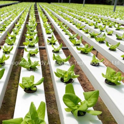 Китай Система/салат/клубника/огурец парника Nft трубы PVC вертикальные Hydroponic для продажи продается