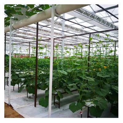 Китай Хорошие качественные Hydroponic растущие системы для овощей засаживая и растя продается