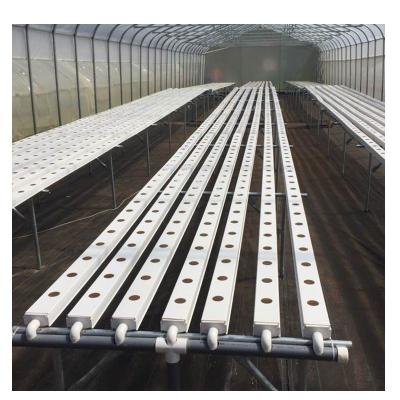 Cina Struttura verticale crescente del sistema di coltura idroponica di verdure commerciale di Nft in vendita
