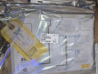 China Bently Nevada 3300-53-02-02-00-60-05-00-00-00 Overspeed Detection System Module Rack Based for sale