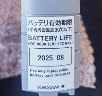 China Yokogawa CP471-00 Processor Module Centum VP Basic Type Without Explosion Protection for sale