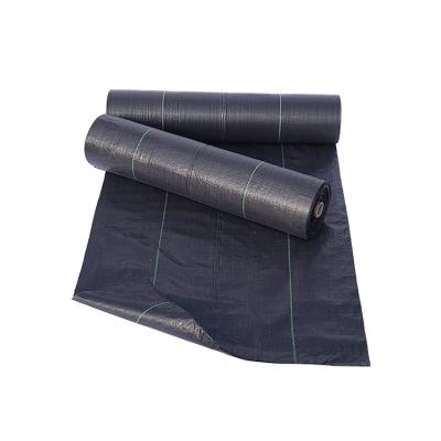 Cina Agriculture Weed Control Film Cover Ground Anti-UV for Garden in vendita