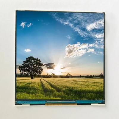 중국 480x480 3.95 인치 TFT LCD 디스플레이 3 라인 SPI 24 비트 RGB 판매용