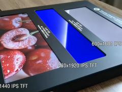 Moniteur LCD monochrome personnalisé 256x96 FSTN 22Pin Module LCD graphique dot matrice