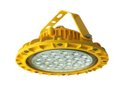 중국 산업을 위한 ATEX 50W 100W 150W 200W 조정가능한 각 화염 증거 전등 설비 판매용