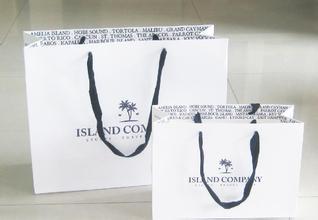Cina Borse del regalo del Libro Bianco della maniglia del cordone con il logo su ordinazione per la pubblicità in vendita