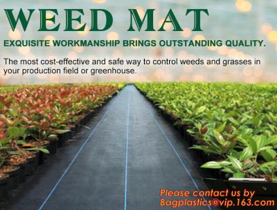 China China Supplier Anti Weed Mat Weed Control Mat 100gsm PP Landscape Fabric Weed Barrier,Weed block mat keep damp and tempe for sale