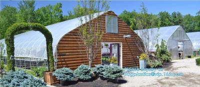 China high quality tunnel single span galvanized arch green houses,Plant Large Walk in Greenhouse with Clear Cover for garden for sale