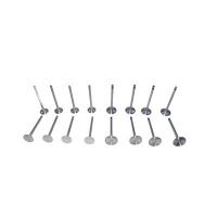 Quality EA888 Engine Valve Kit 06D109601M 06D109611L for Audi A4 A5 VW Golf GTI Tiguan Passat for sale