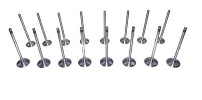 EA888 Engine Valve Kit 06D109601M 06D109611L for Audi A4 A5 VW Golf GTI Tiguan