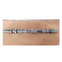 Quality K4M Engine Camshaft 130208342R 8200100528 8200100527 for Renault Clio 2 1.6l 16V for sale
