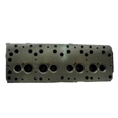 Cina Testa del cilindro del motore 11041-09W00 11041-29W01 1104109W00 1104129W01 per Nissan Cabstar SD22 SD23 SD25 2.5D in vendita