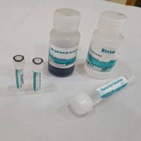 Kit magnétique d'isolement d'ARN d'extraction de perle d'écouvillon de manuel nasopharyngal témoin