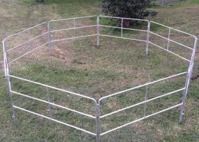 Chine Panneau galvanisé 2000 x 1350mm de yard de participation de cheval d'immersion chaude de 3 rails à vendre