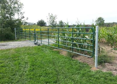 Chine Heavy Duty Powder Coated 10ft Galvanised Farm Gate Rustproof 1.3m Height à vendre