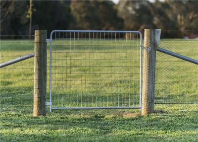 Fully Welding 16 Foot Livestock Metal Gate With Lock 42Inch 70.5inch Height