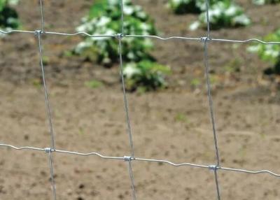 Κίνα High Tensile Galvanized iron Wire Cattle Fencing 1.1m height προς πώληση