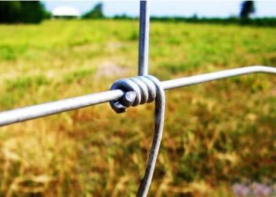 Κίνα High Tensile Galvanized iron Wire Cattle Fencing 1.1m height προς πώληση