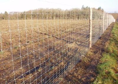 Κίνα High Tensile Galvanized iron Wire Cattle Fencing 1.1m height προς πώληση