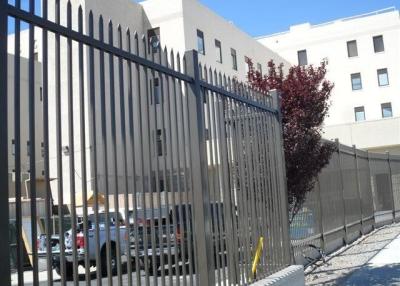 Κίνα περίφραξη κήπων 7ft υψηλή σωληνοειδής, τοπ διακοσμητικές επιτροπές φρακτών λογχών προς πώληση