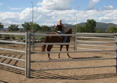 Chine Cheval 10ft grand en acier autour des panneaux de yard avec la poudre enduite à vendre