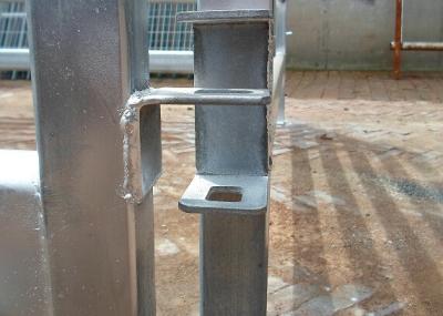 Κίνα Ο ωοειδής φραγμός 6ft υψηλός βαρέων καθηκόντων που γαλβανίζεται συγκεντρώνει τις επιτροπές για τη σίτιση βοοειδών προς πώληση