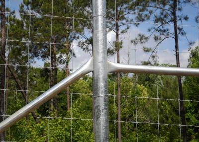 중국 Hot Dip Galvanized 2.5mm Hinged Knot Rural Wire Fencing 4ft 판매용