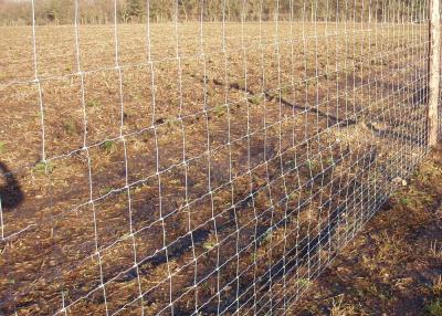 중국 Hot Dip Galvanized 2.5mm Hinged Knot Rural Wire Fencing 4ft 판매용