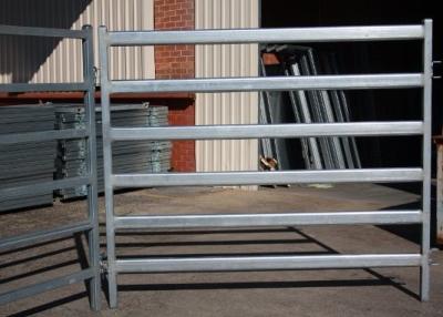 Chine équipement ovale de ferme de Panels Galvanized Corral de barrière de bétail de tube de 40x80mm à vendre