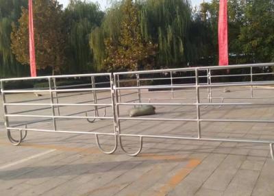 Κίνα Q235 η καυτή εμβύθιση γαλβάνισε επιτροπή βοοειδών 1.8m την υψηλή βαρέων καθηκόντων προς πώληση