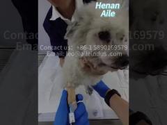 Tubes d'intubation en PVC renforcées pour animaux de compagnie
