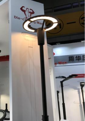 중국 야외 정원 조명은 CRI70 IP65 120 급 도시적 led 라이트닝 로에스 알루미늄을 장비를 답니다 판매용