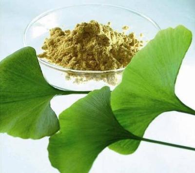 中国 Ginkgo Extract,ginkgetin 24%,gingko flavonoids 24%,bilobalide/ginkgolide 6% CAS:90045-36-6 販売のため