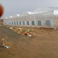 Quality 8mm 10mm Commercial Polycarbonate Greenhouse With Shading System Irrigation System for sale