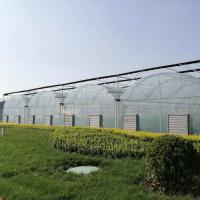 Quality 8m 9m 10m Span Multi Span Tomato Hydroponic Plastic Film Greenhouse Galvanized Steel Structure for sale