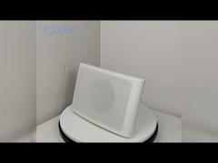 6W 3W 6 pollici woofer altoparlante doppio cono Pa altoparlante muro di montaggio