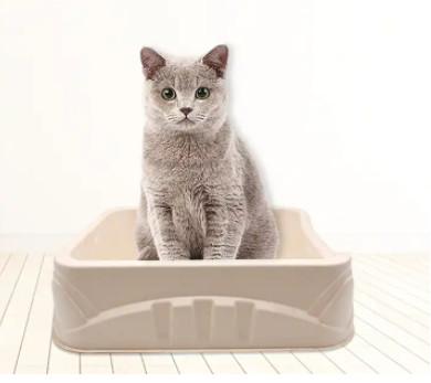 Cina Pulizia eliminabile di carta amichevole Cat Box di Eco Cat Litter Box Biodegradable Molded auto in vendita