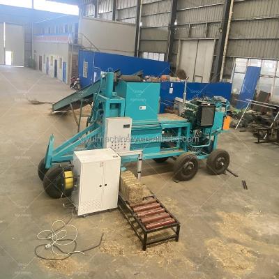 Baling Packing Automatic Horizontal Hydraulic Alfalfa Hay Sawdust Rice Husk