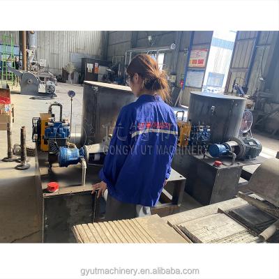 Chine 60 mm 70 mm 80 mm cylindrique en forme de fumier de cheval Briquette press machine pour les éclats de bois à vendre