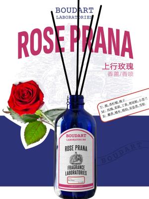 China ROSE PRANA Reed Diffuser Aldehydes en Freesia voor natuurglasfles Te koop