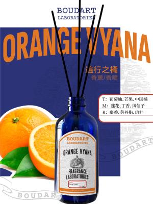 China OEM Reed Diffuser Oranje smaak en kaneel basis Natuurlijke glazen fles Geur parfum Te koop