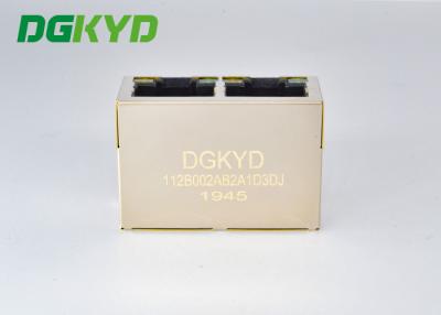 China Puerto RJ45 de Jack modular el 100M BASE-T 1x2 2 en venta
